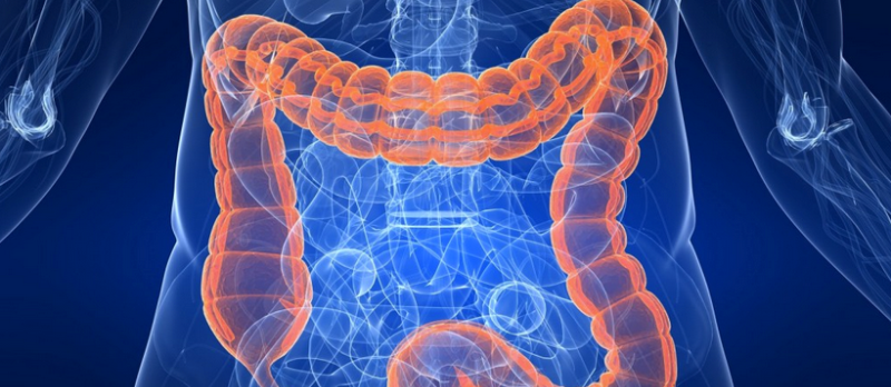 You Have Around 20 Pounds of Poison in Your Colon. Here’s How to Get ...