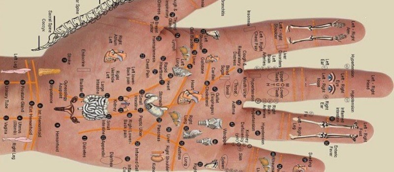 It’s All in The Palm of Your Hand - Press These Points for Instant Pain ...