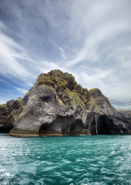 A Giant Sea Elephant Emerges From The Ocean In Iceland - Women Daily ...