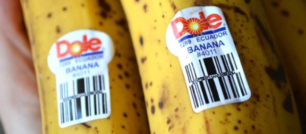 What-Do-the-Numbers-on-The-Fruit-Stickers-Mean - Women Daily Magazine