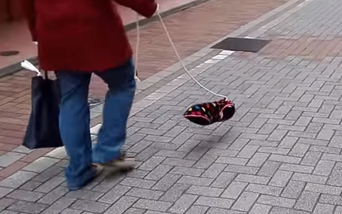 Thousands of People Can’t Believe Their Eyes: He’s Walking His ...