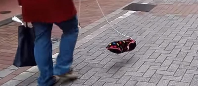 Thousands of People Can’t Believe Their Eyes: He’s Walking His ...