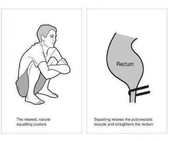 You’ve Been Sitting Wrong on The Toilet Seat All Your Life That's ...