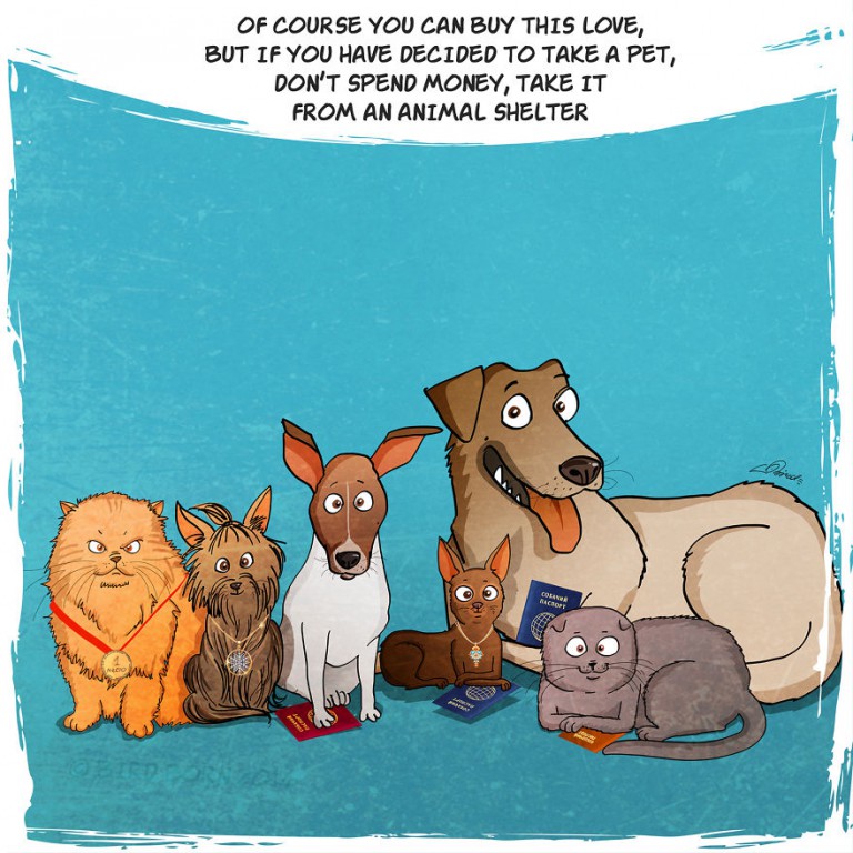 personal-experience-adopted-dog-animal-shelter-comic-illustrations-10 ...