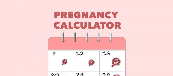 useful-pregnancy-calculators-calculate-date-conception-due-date - Women ...