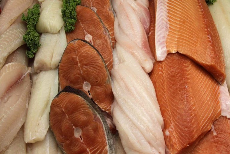 Top 10 Safe To Eat and Low Mercury Seafoods - Women Daily Magazine