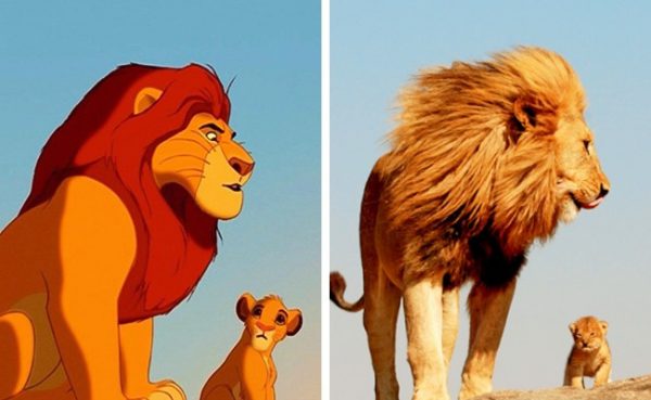 These 10 Animals Look Exactly Like Our Favorite Animated Movie ...