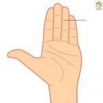 What Does The Size of Your Pinky Finger Say About You? - Women Daily ...