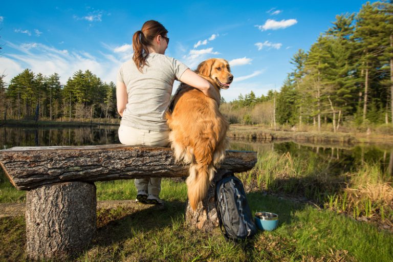 5-best-outdoor-adventure-you-can-have-with-your-lovely-pets-5 - Women ...