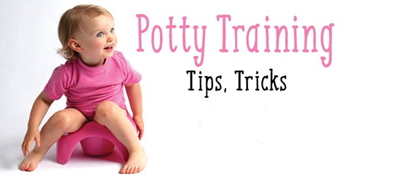 Potty Training Tips For 2 Year Old Boys When To Start And How To Do It 