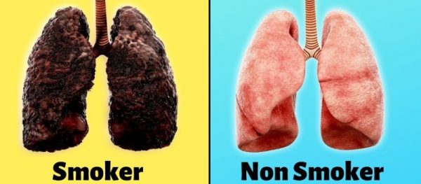 heres-what-smoking-every-day-does-to-your-body - Women Daily Magazine