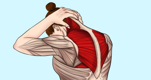 6 Super Easy Stretches To Relieve Stiff Neck and Shoulder Tension ...