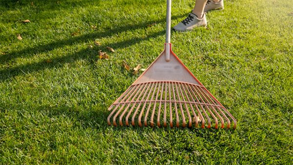 How to Use a Lawn Leveling Rake: The Easiest Guide - Women Daily Magazine
